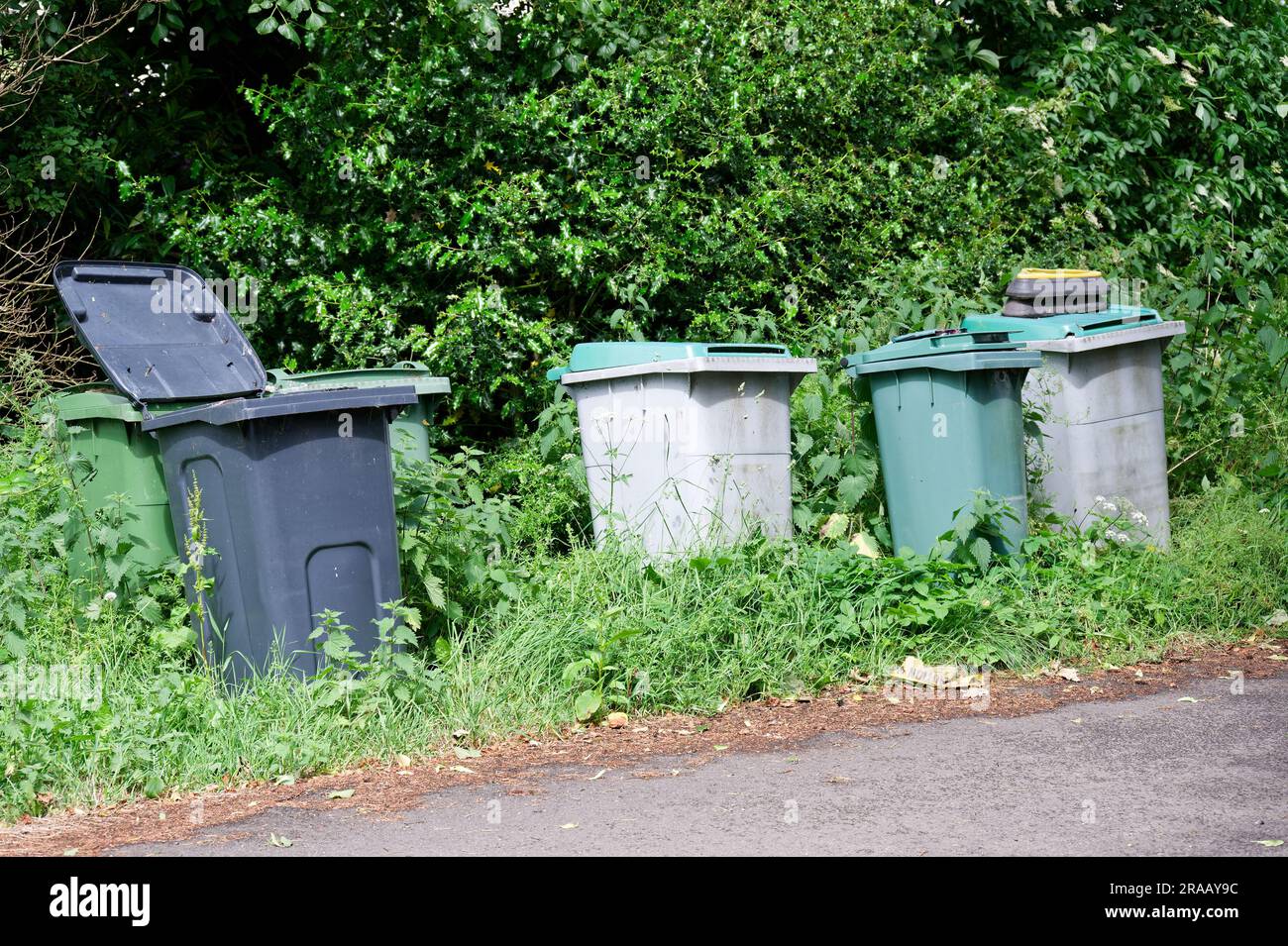 Wheelie bins in row for refuge collection in rural area Stock Photo - Alamy