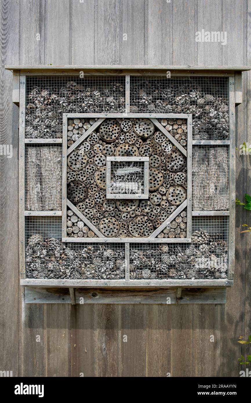 Insect hotel on the side of a wooden building Stock Photo - Alamy