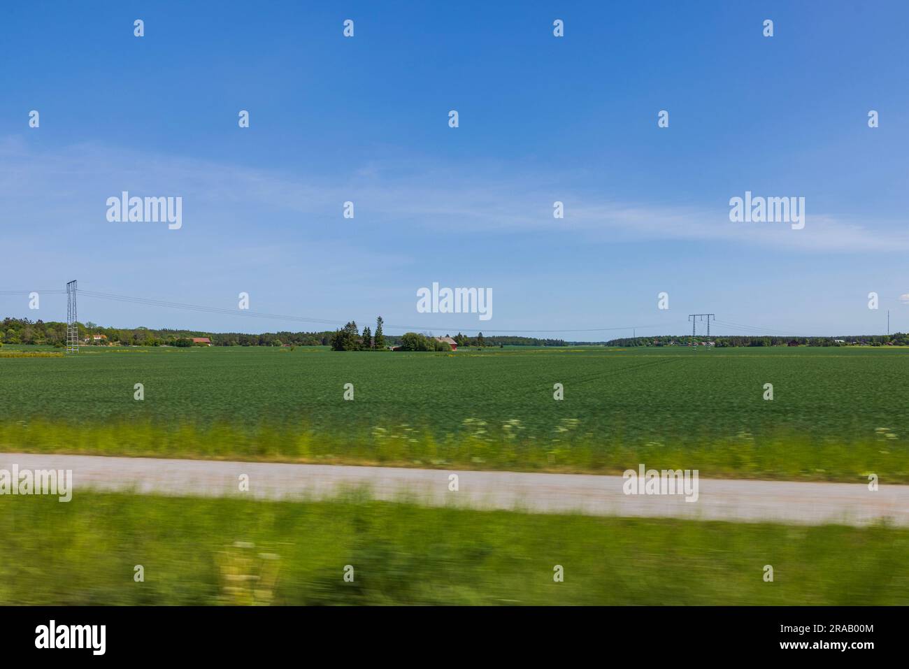 Blurred view beautiful wheat field hi-res stock photography and images ...