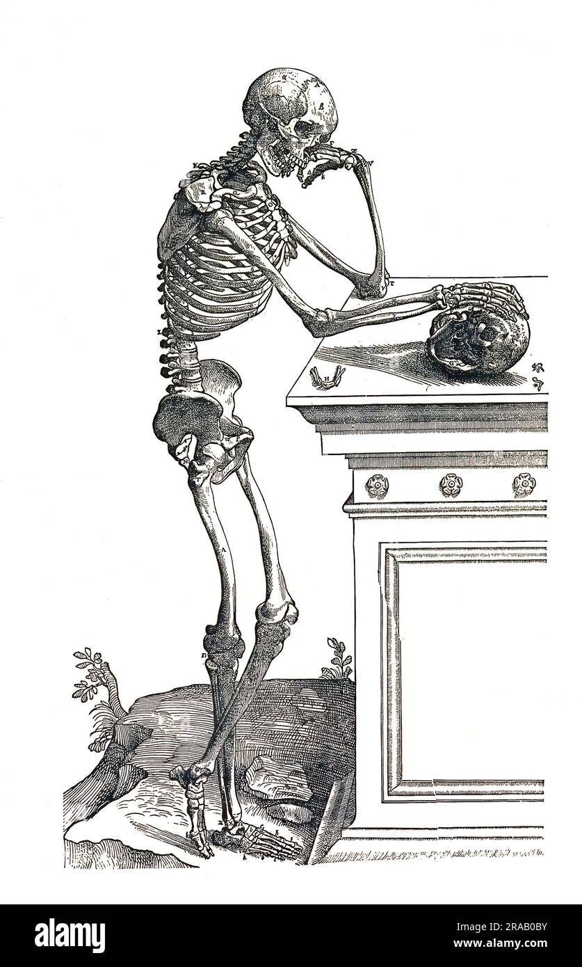 Skeleton illustration vintage hi-res stock photography and images - Alamy