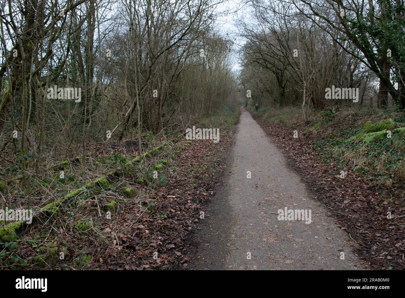 The Colliers Way between Radstock and Frome, at Mells, Somerset Stock ...