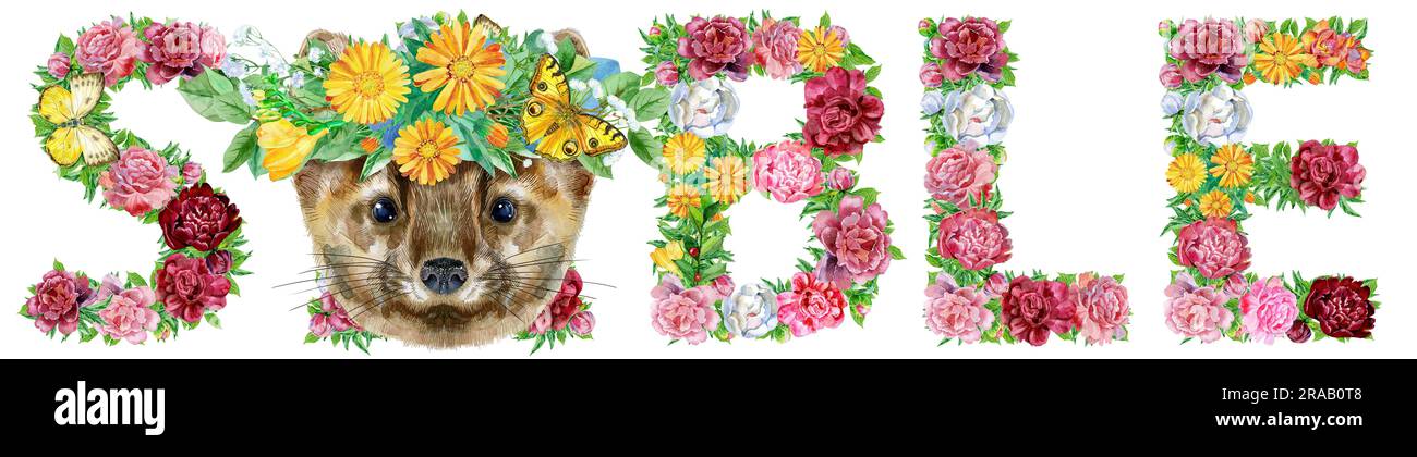 Word SABLE of watercolor peony flowers and butterflies Stock Photo - Alamy