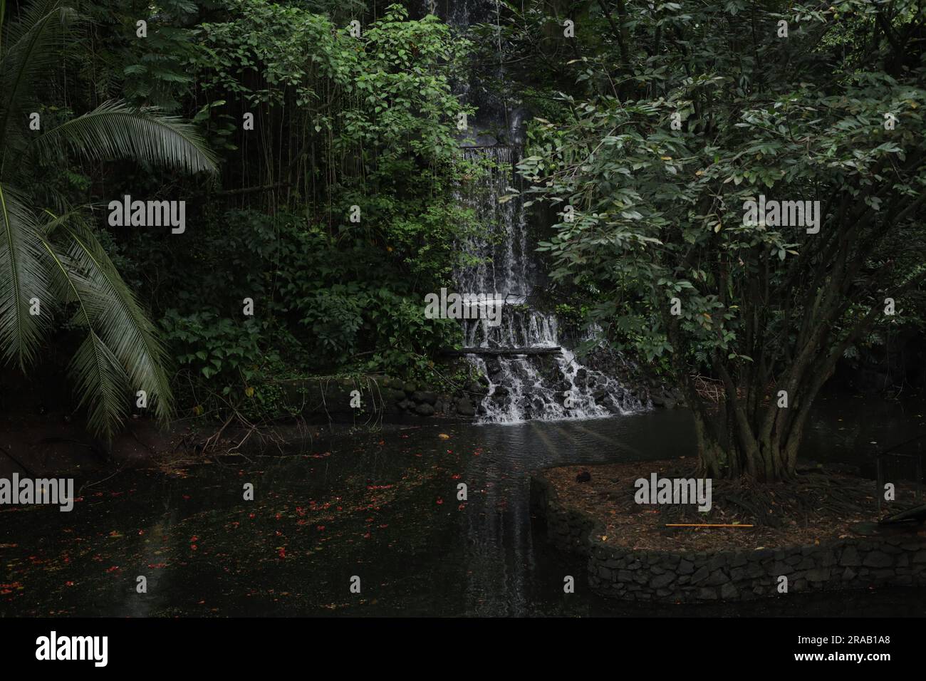 Beautiful waterfall hidden in the tropical jungle, Dark environmental ...