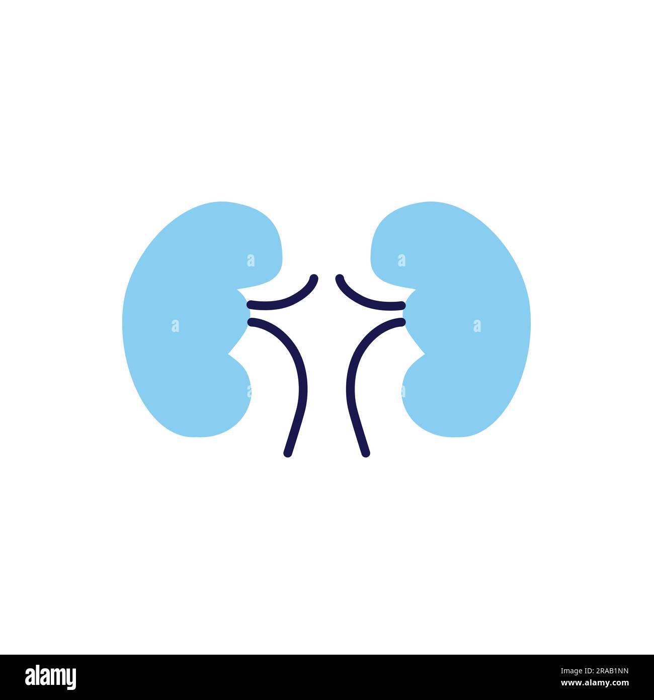 Kidney Vector Icon. Isolated on the White Background. Editable EPS file. Vector illustration ...