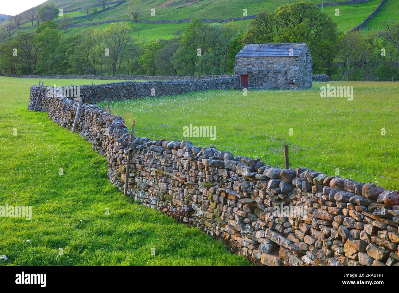 Drystone Wall and barns near Gunnerside, Swaledale, Yorkshire Dales ...