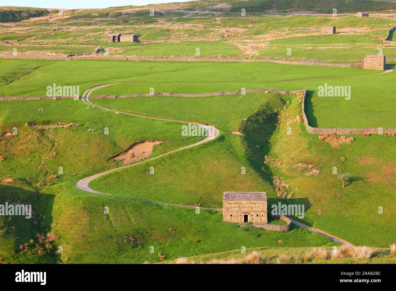 Farm track going up a steep hillside at Swaledale, Yorkshire Dales ...