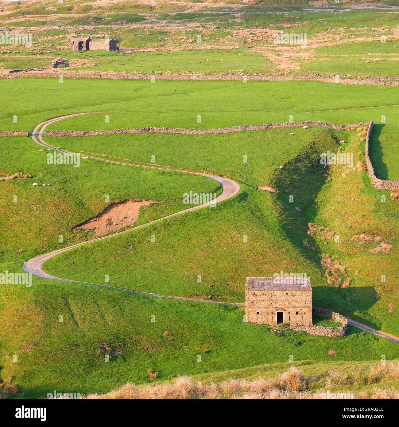 Farm track going up a steep hillside at Swaledale, Yorkshire Dales ...