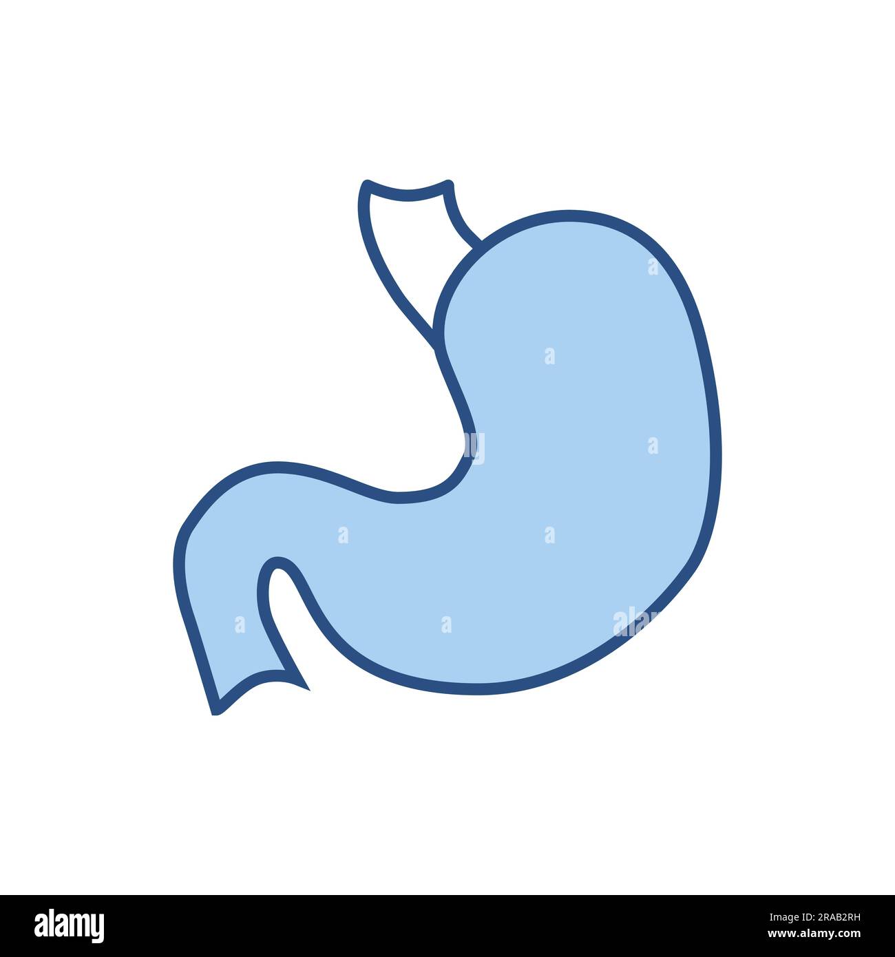 Stomach Vector Icon. Isolated on the White Background. Editable EPS ...