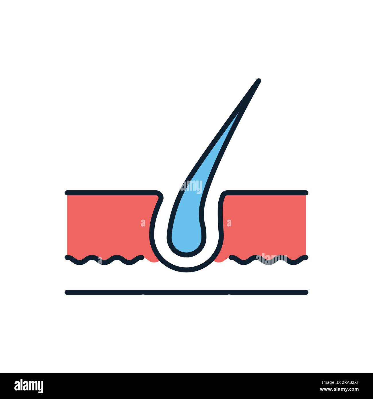White line human hair follicle hi-res stock photography and images - Alamy