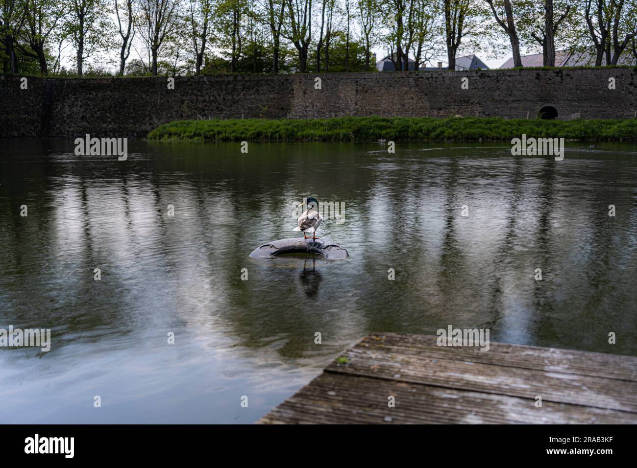 Postkaart hi-res stock photography and images - Alamy