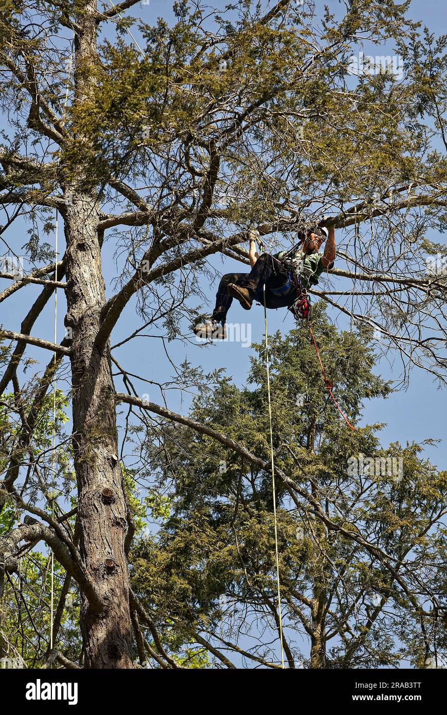 Skilled job hi-res stock photography and images - Alamy