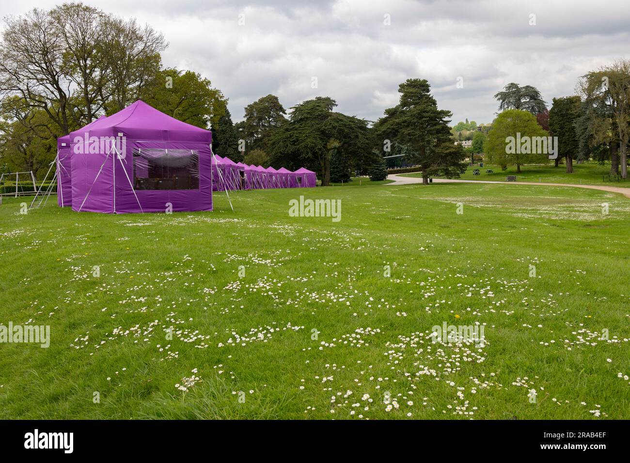 Row of purple gazebos on landscaped lawn with evergreen trees in ...