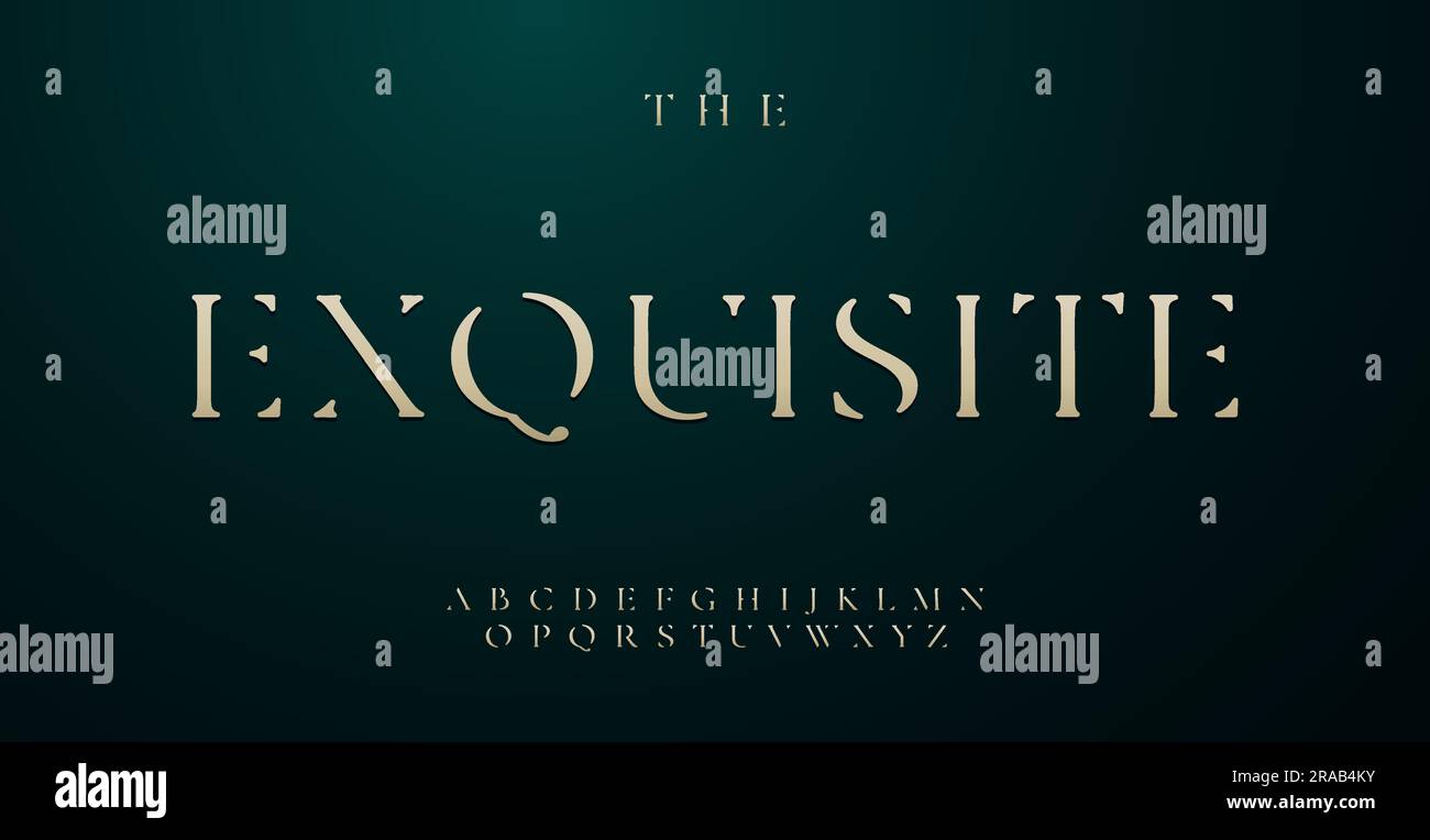 Timeless alphabet, delicate and chic letters, classic font for a sleek ...