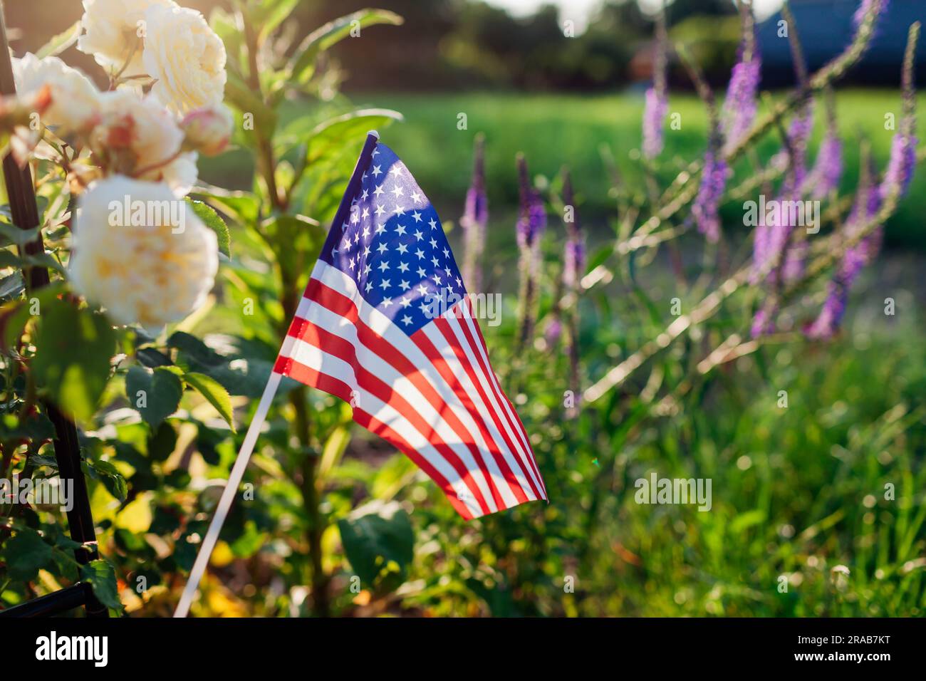 American flag red roses hi-res stock photography and images - Alamy