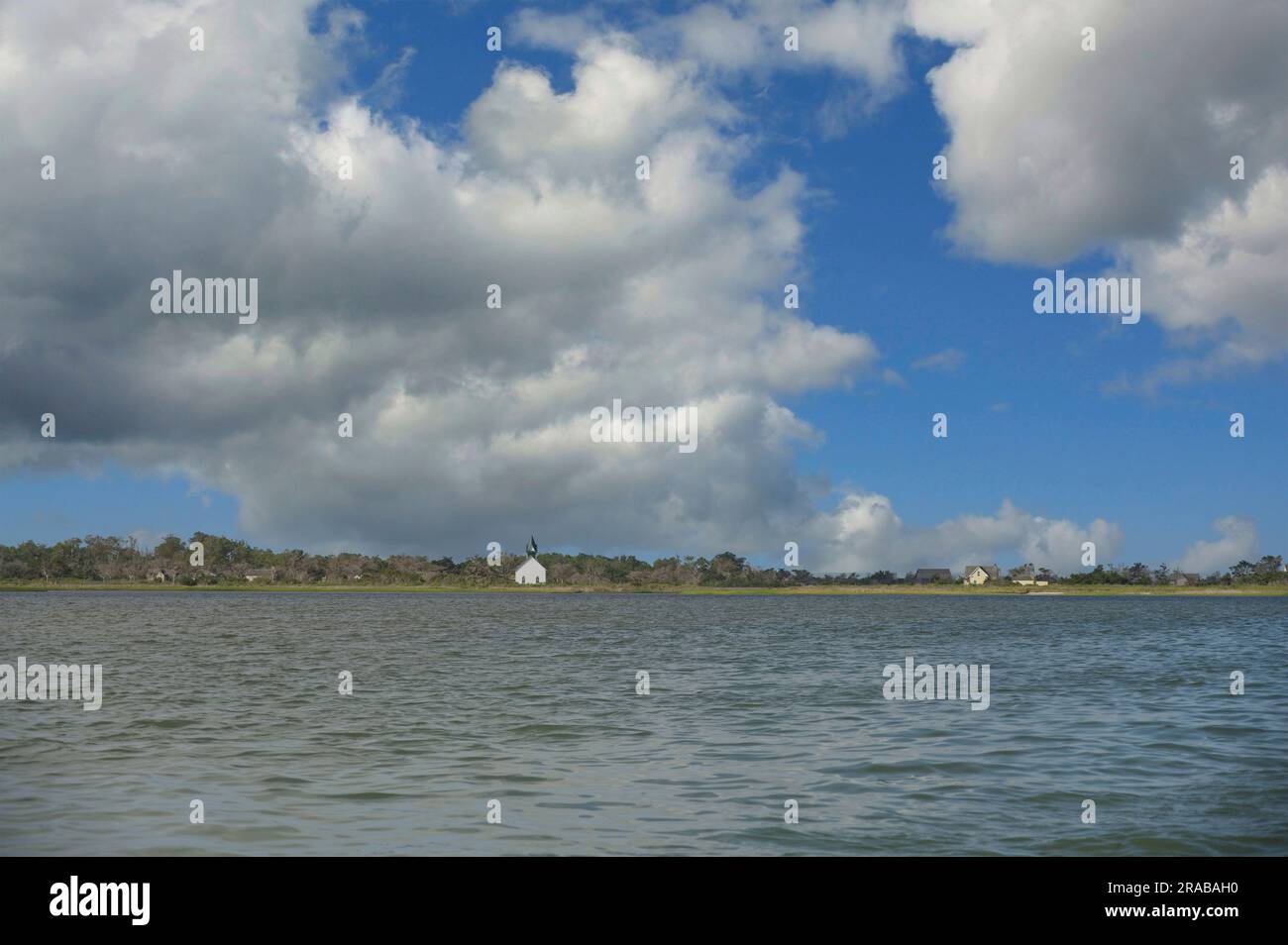 Tern white 54 hi-res stock photography and images - Alamy