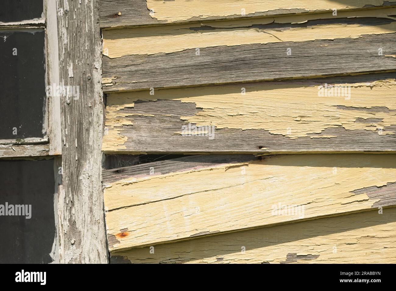 UNITED STATES - June 2023: Hurricane Dorian, which made landfall on ...