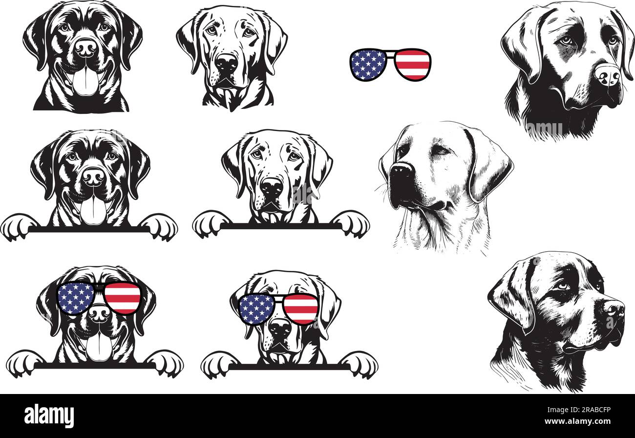 Set of peeking golden retriever. Cute Portrait of Labrador Retriever Puppy Stock Vector Image ...