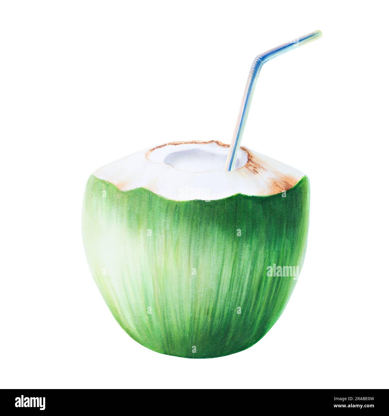 Watercolor illustration of green coconut with blue tube for drinks ...