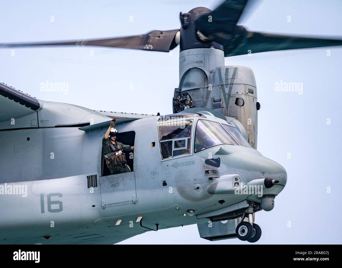 The incredible Osprey flying overhead Stock Photo - Alamy