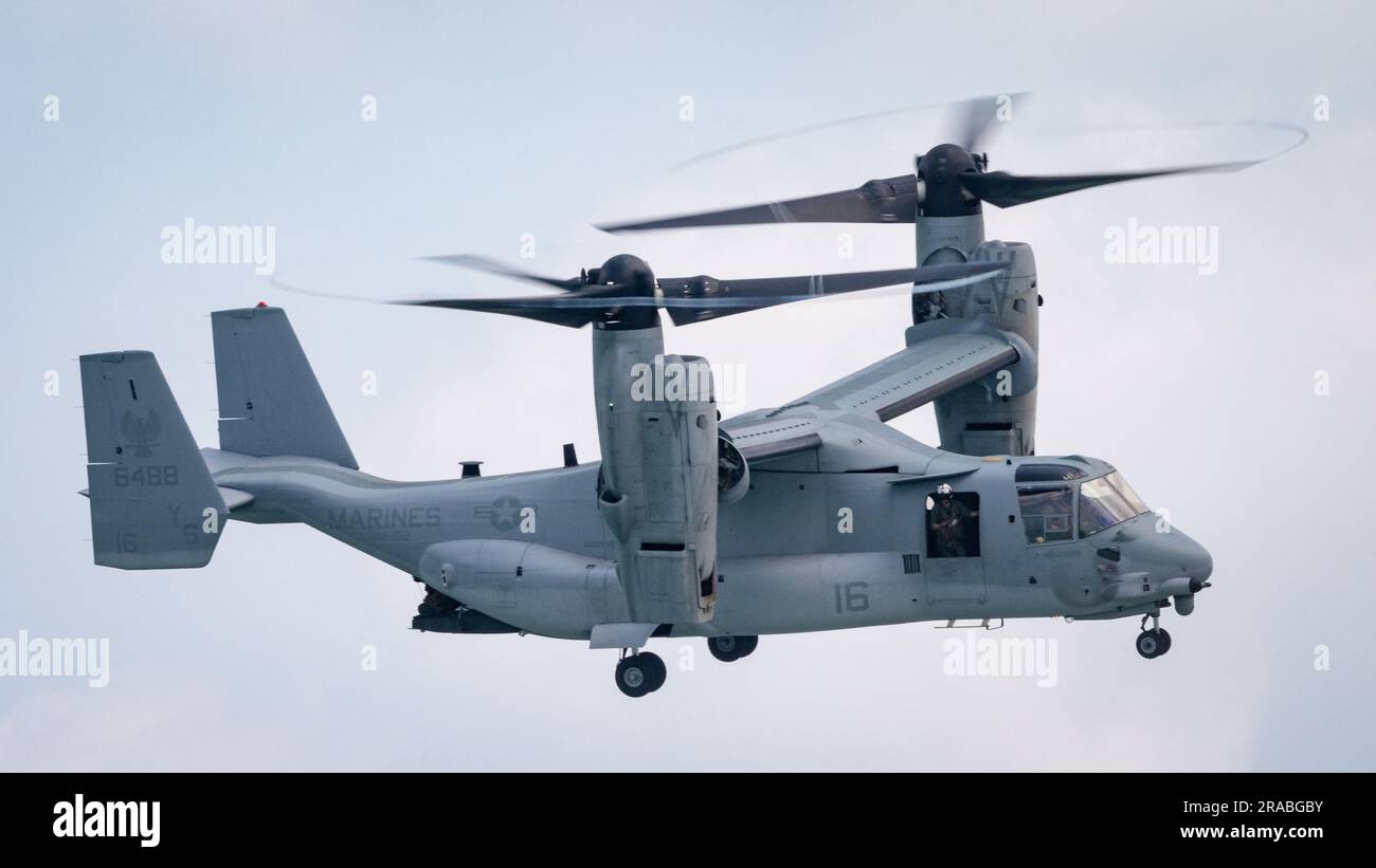 The incredible Osprey flying overhead Stock Photo - Alamy