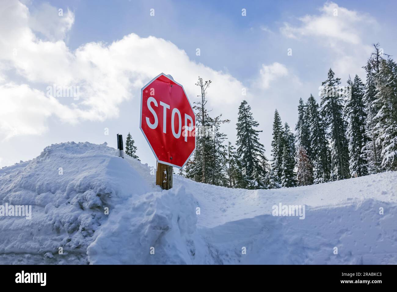 Stop sign on the roadside almost covered with snow, snowy winter Stock ...