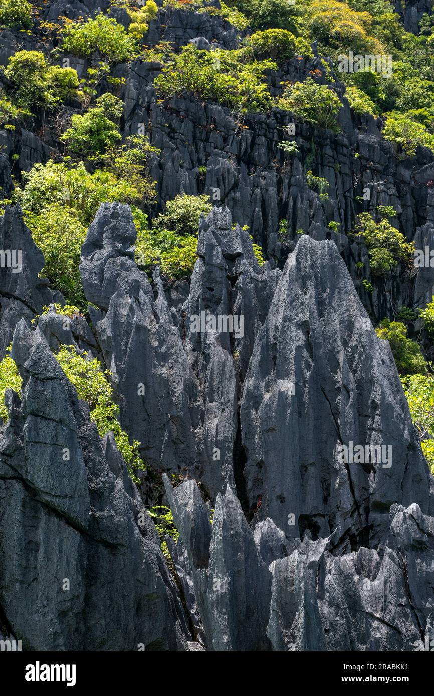 Close-up of rock formations of the islands in El Nido, Palawan ...
