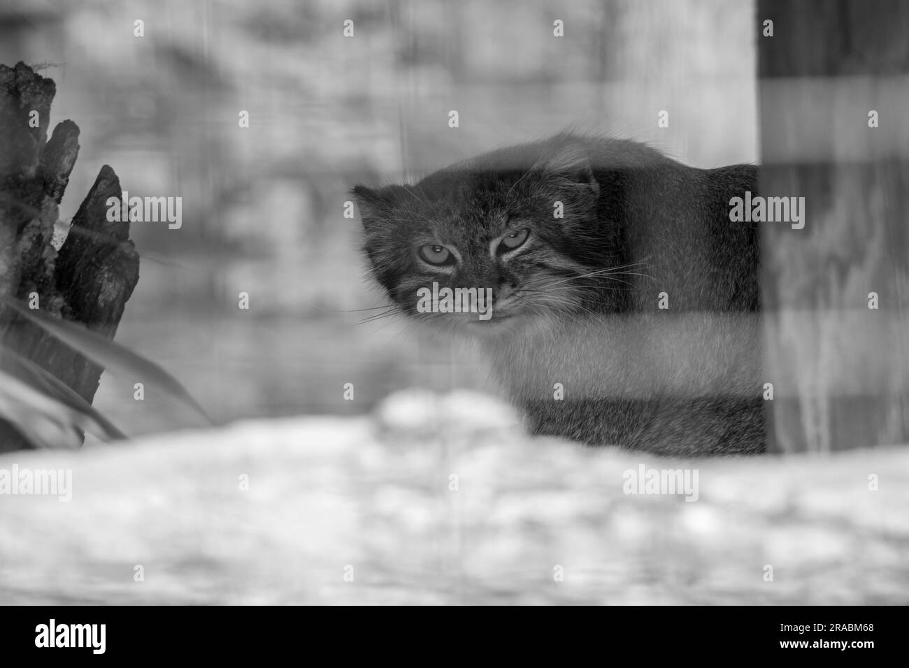 Litter free Black and White Stock Photos & Images - Alamy