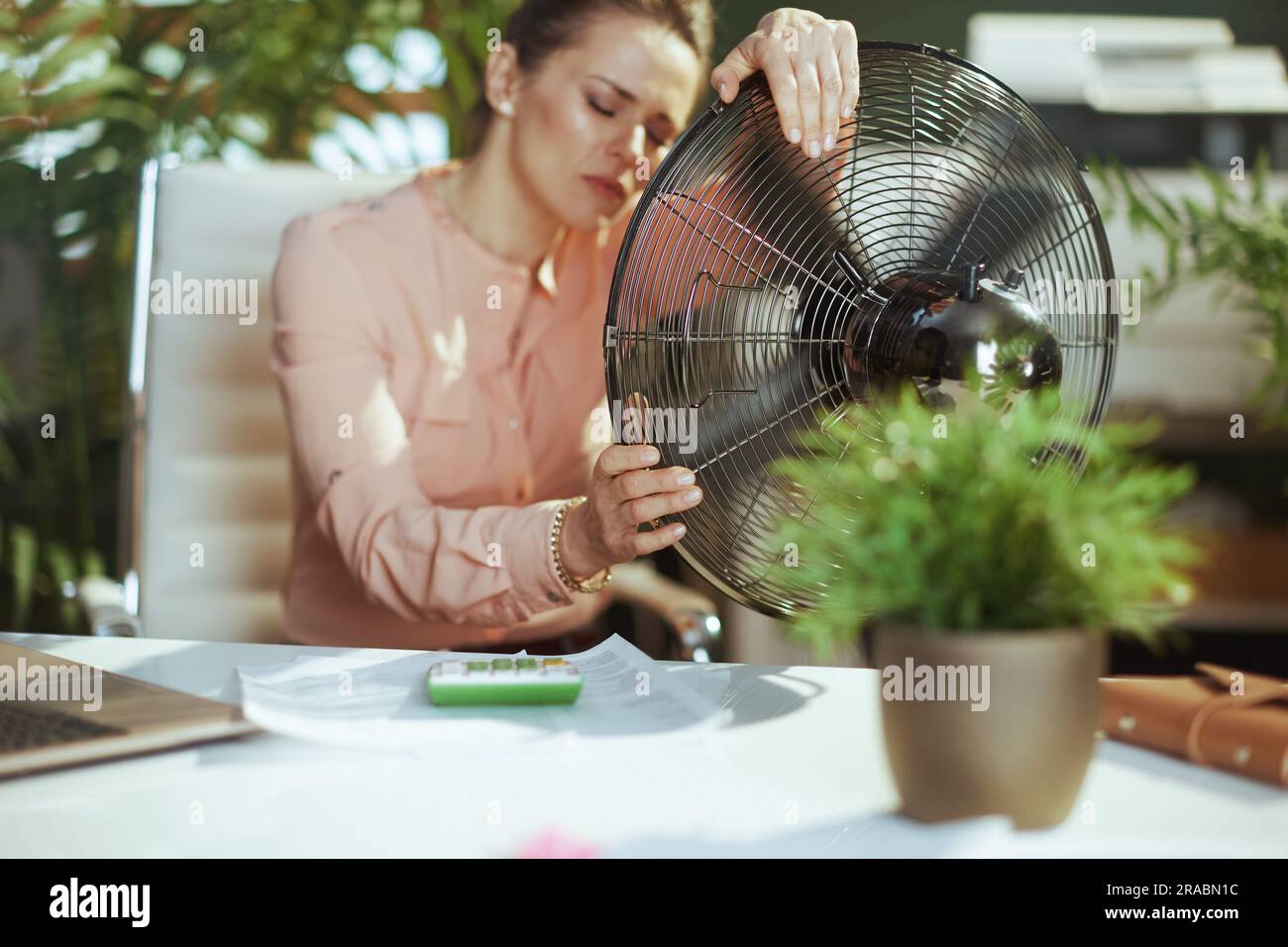 Sustainable workplace. modern middle aged bookkeeper woman at work with ...
