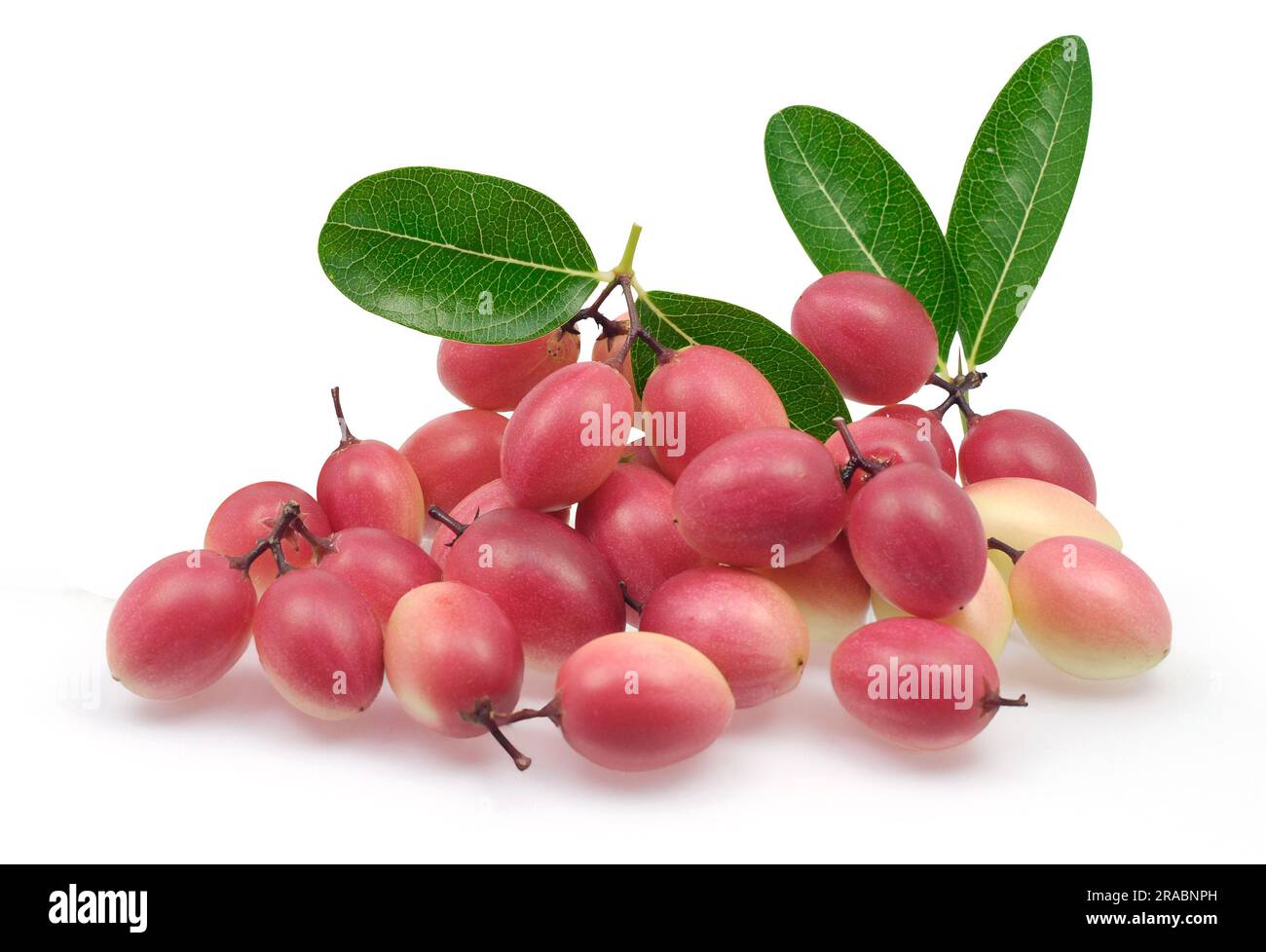 Carunda karonda fruit health hi-res stock photography and images - Alamy