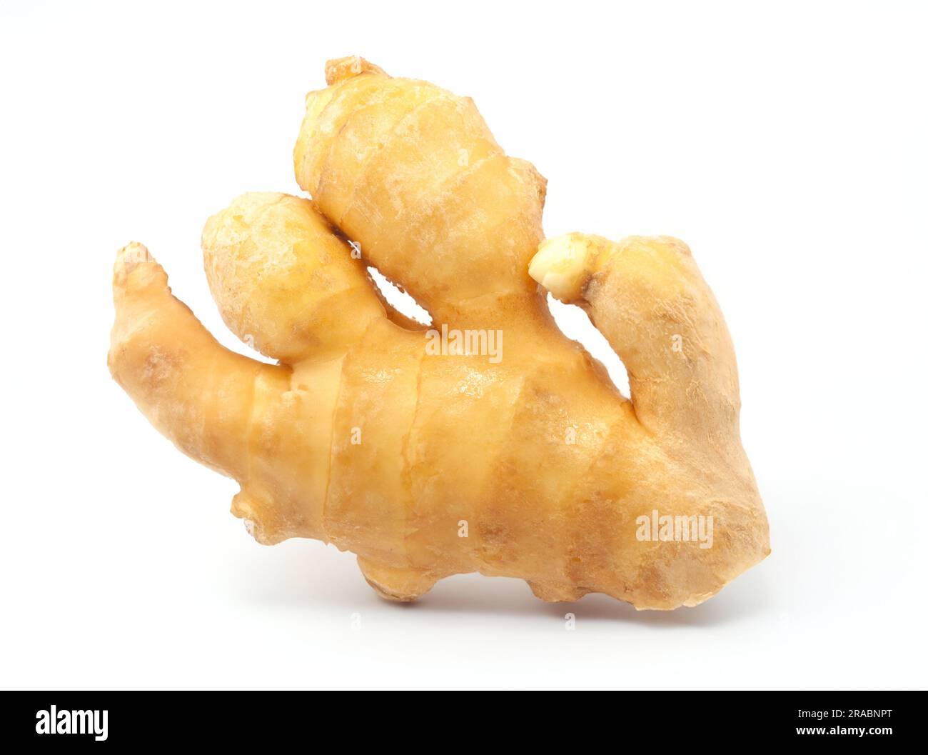 Ginger root green fresh Cut Out Stock Images & Pictures - Alamy