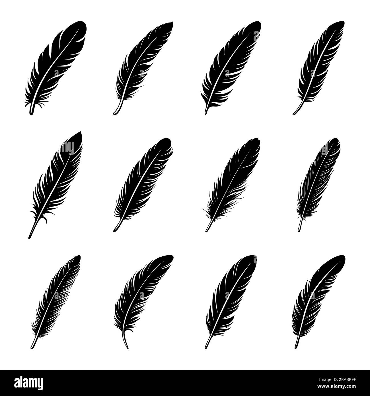 Vector Fluffy Feather Logo, Icon Set, Silhouette Feather Closeup ...