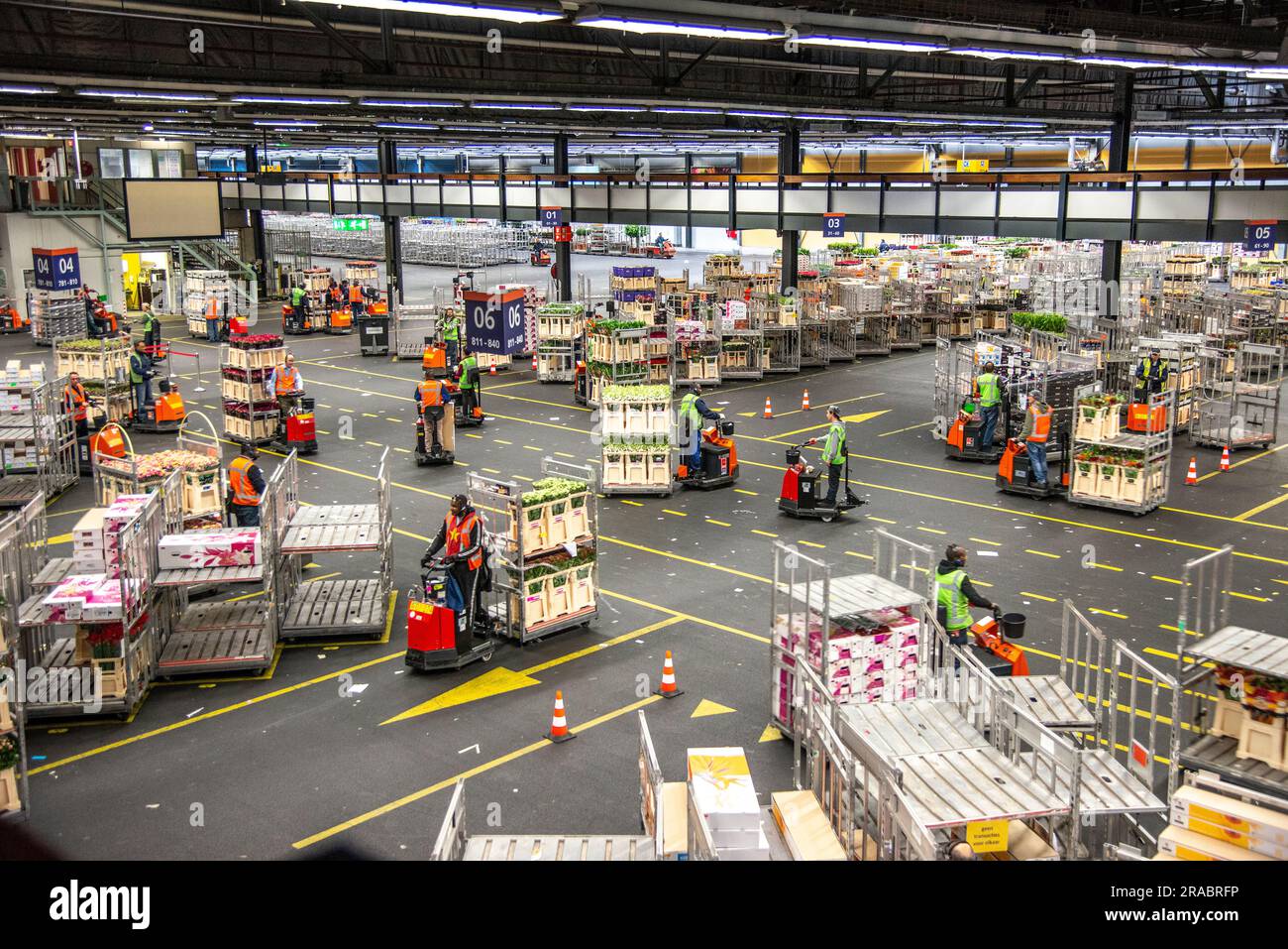 tugger carts and flower boxes at Flora Holland flower auction in the ...