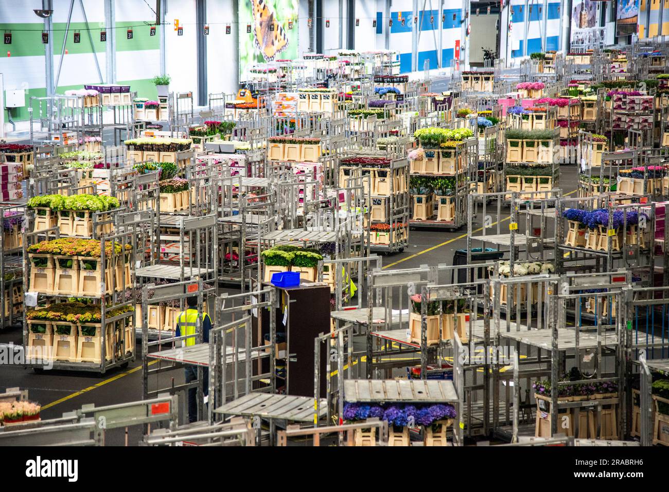 moveable carts on wheels and flower boxes at Flora Holland flower ...