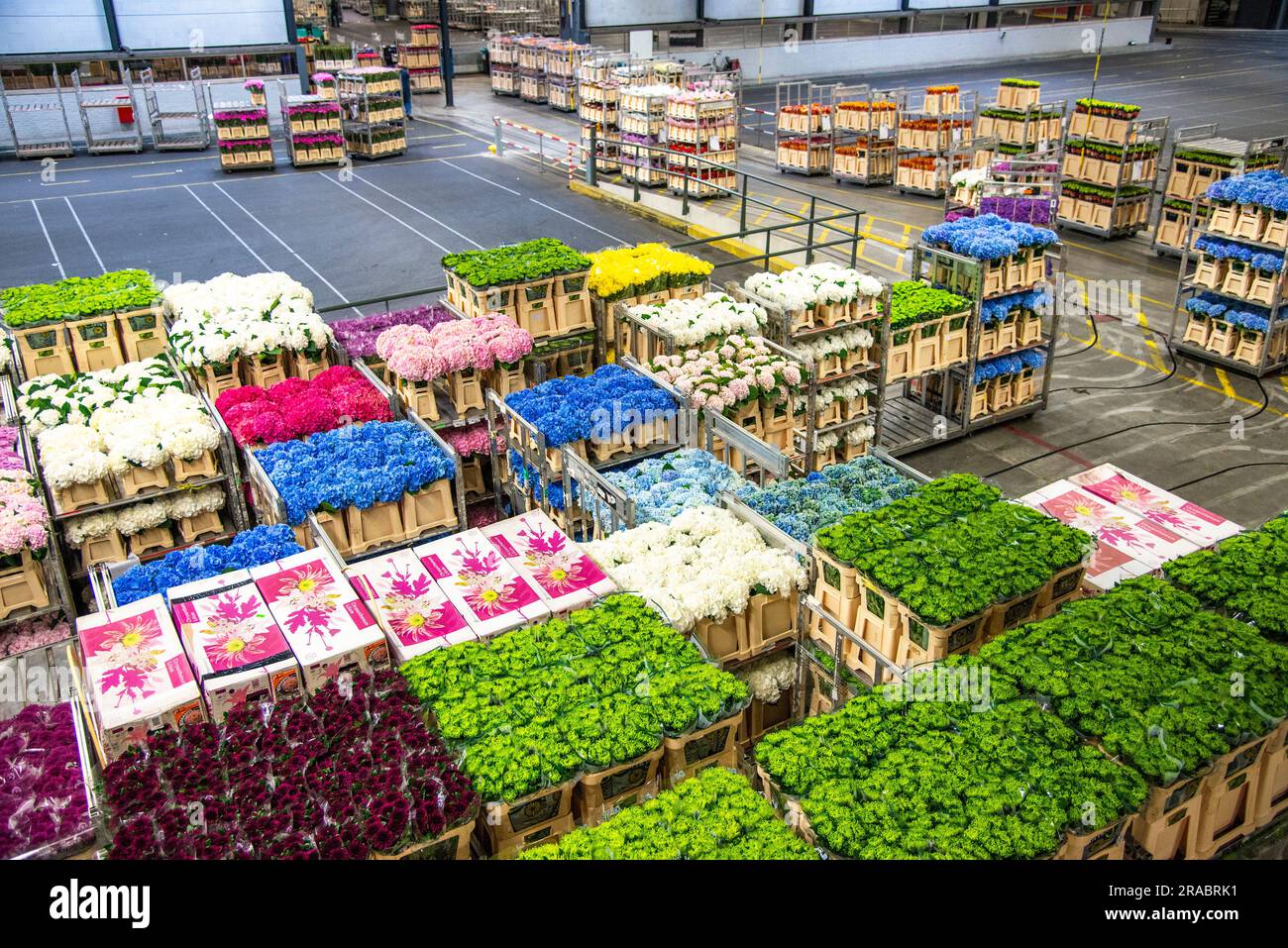 flower boxes at Flora Holland flower auction in the Netherlands Stock ...