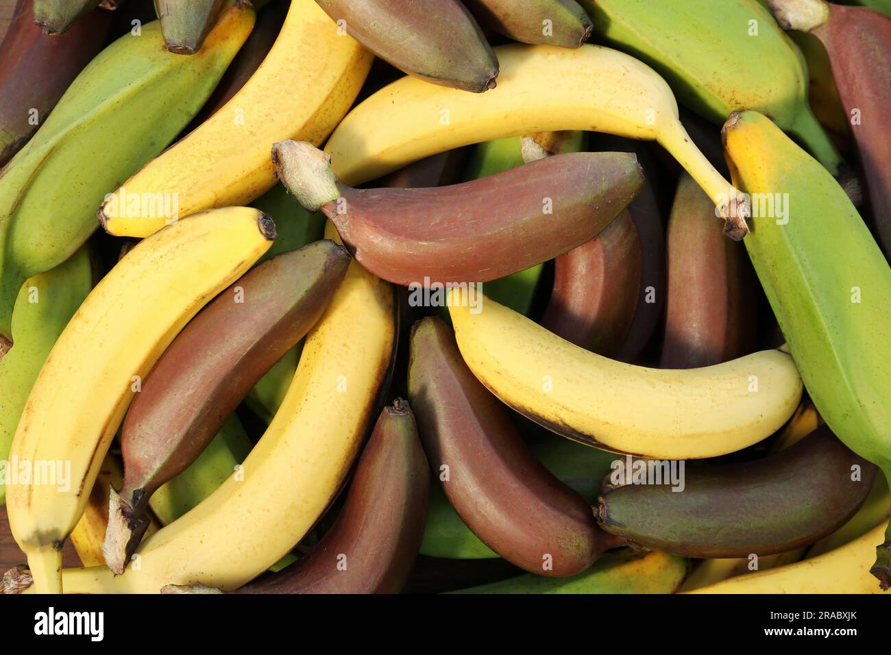 Different types of bananas as background, top view Stock Photo - Alamy
