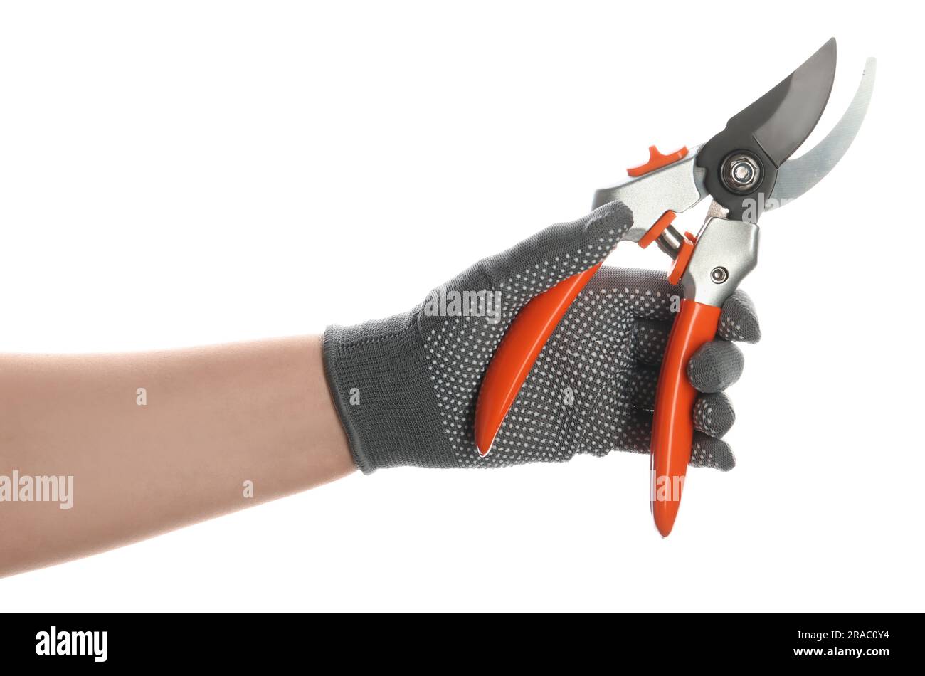 Worker holding secateurs with orange handles on white background ...