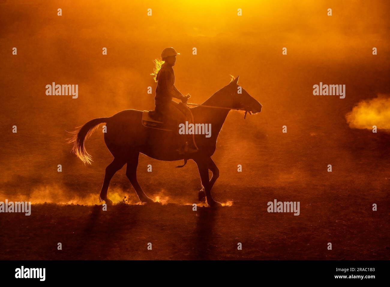 Campdraft hi-res stock photography and images - Alamy