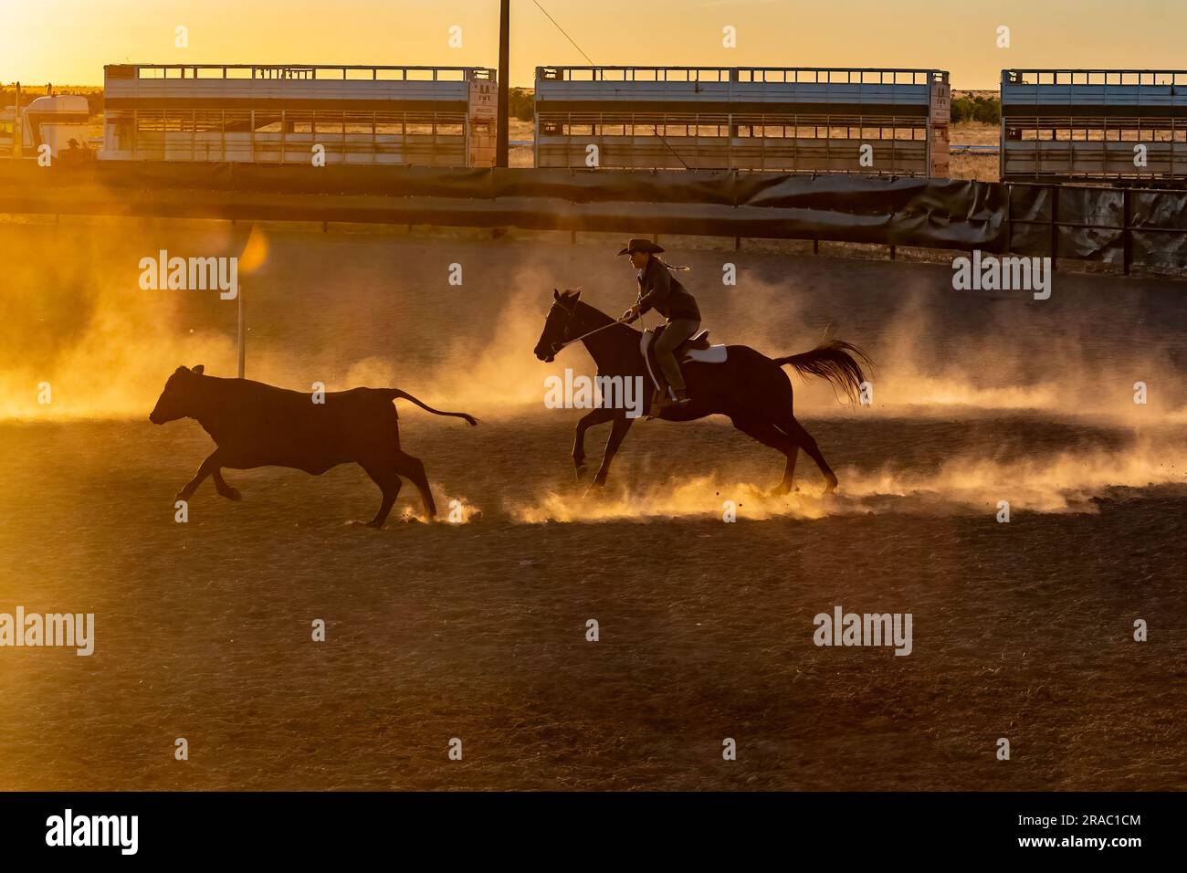 Cattle station northern territory hi-res stock photography and images ...