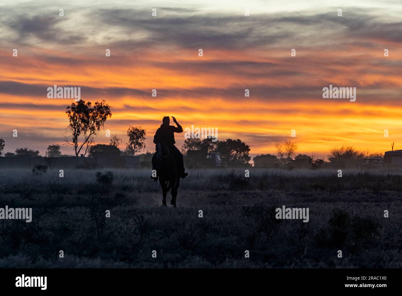 Abc bush races hi-res stock photography and images - Alamy