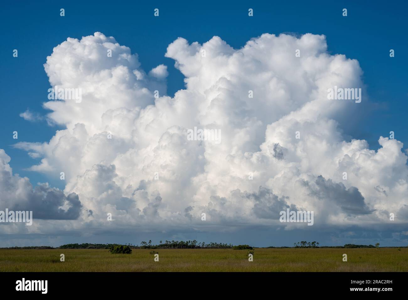 Cumulus clouds over prairie hi-res stock photography and images - Alamy