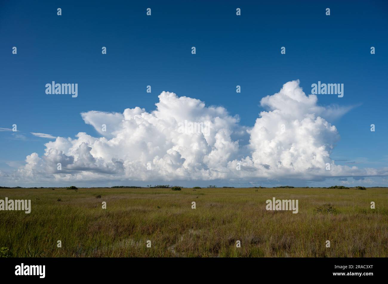 Cumulus clouds over prairie hi-res stock photography and images - Alamy