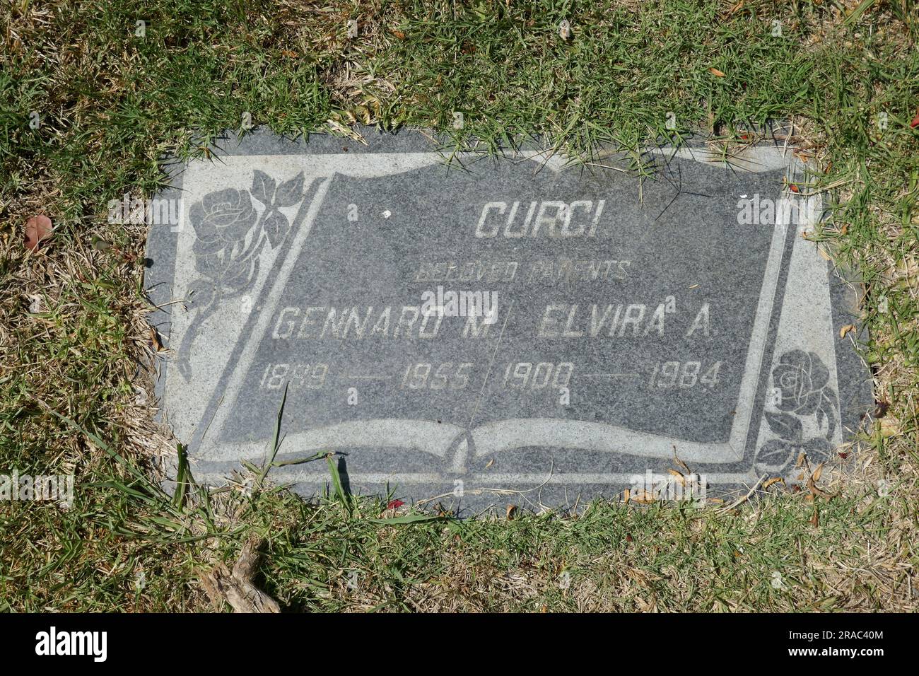 Elvira curci hi-res stock photography and images - Alamy