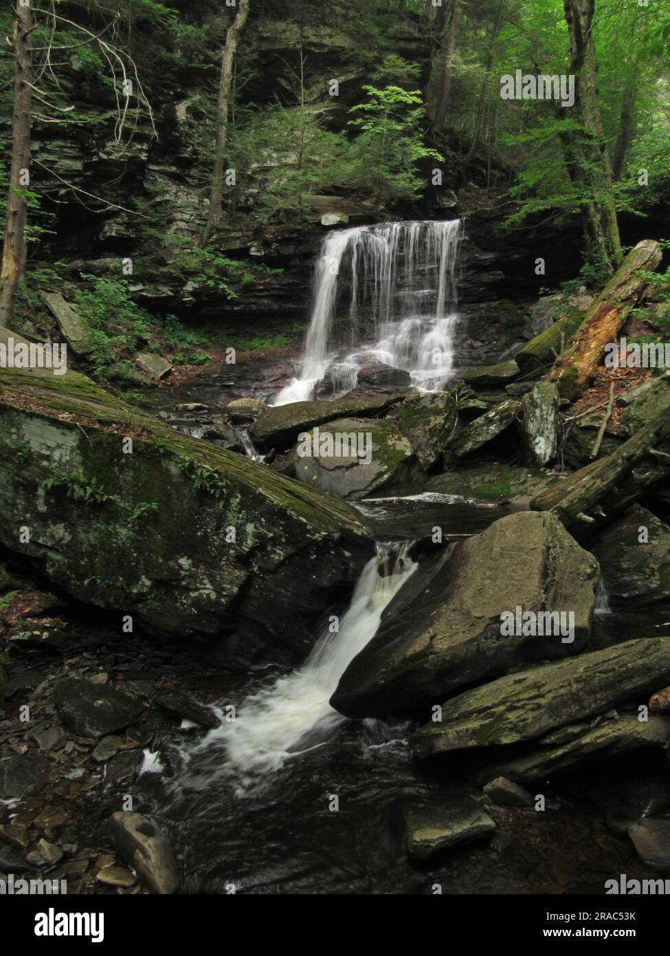 B. Reynolds Falls tumbles through Ricketts Glen State Park in Benton ...