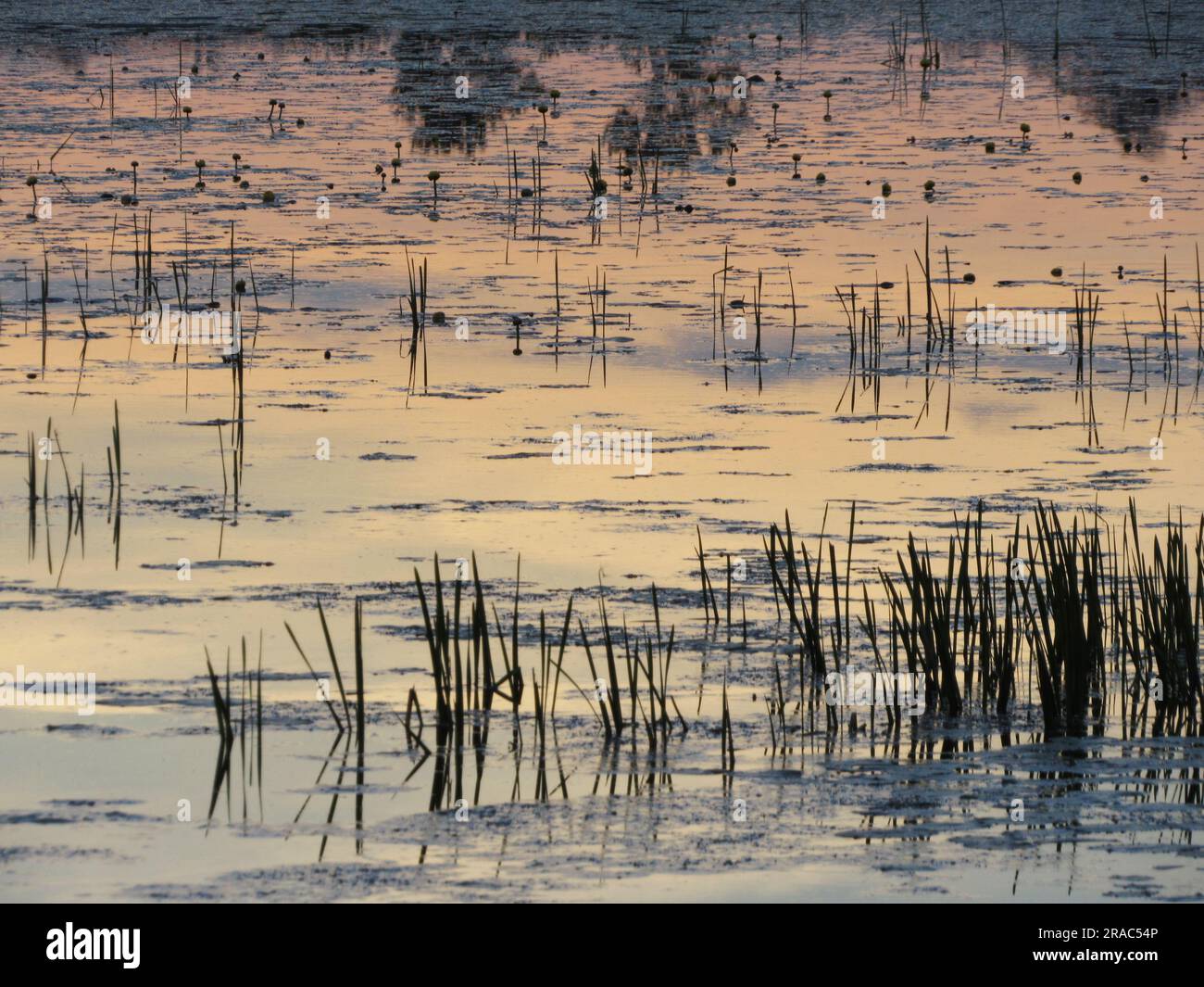 The sun sets on Lake Jean in Ricketts Glen State Park in Benton ...