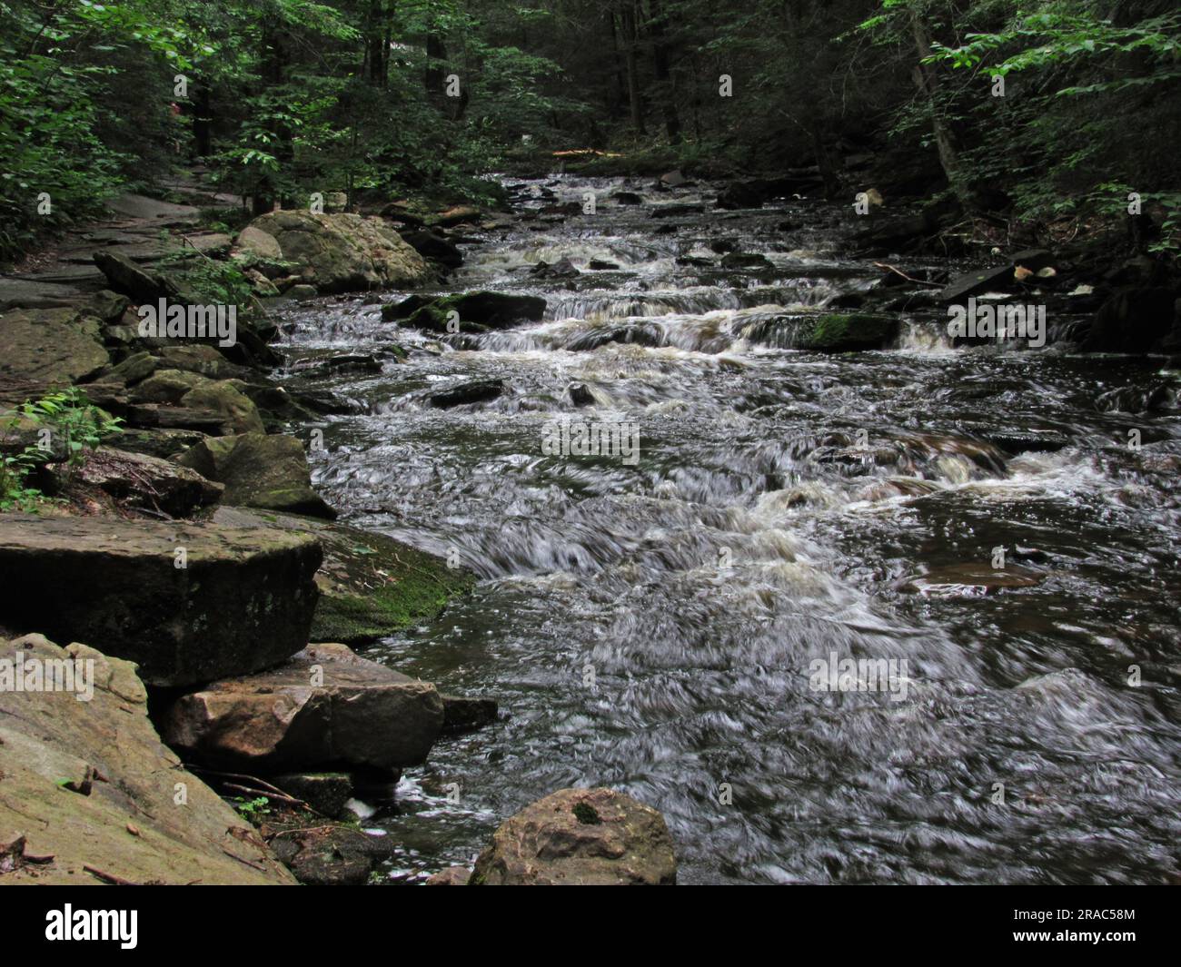 Kitchen Creek spills over small cascades in Ricketts Glen State Park in ...