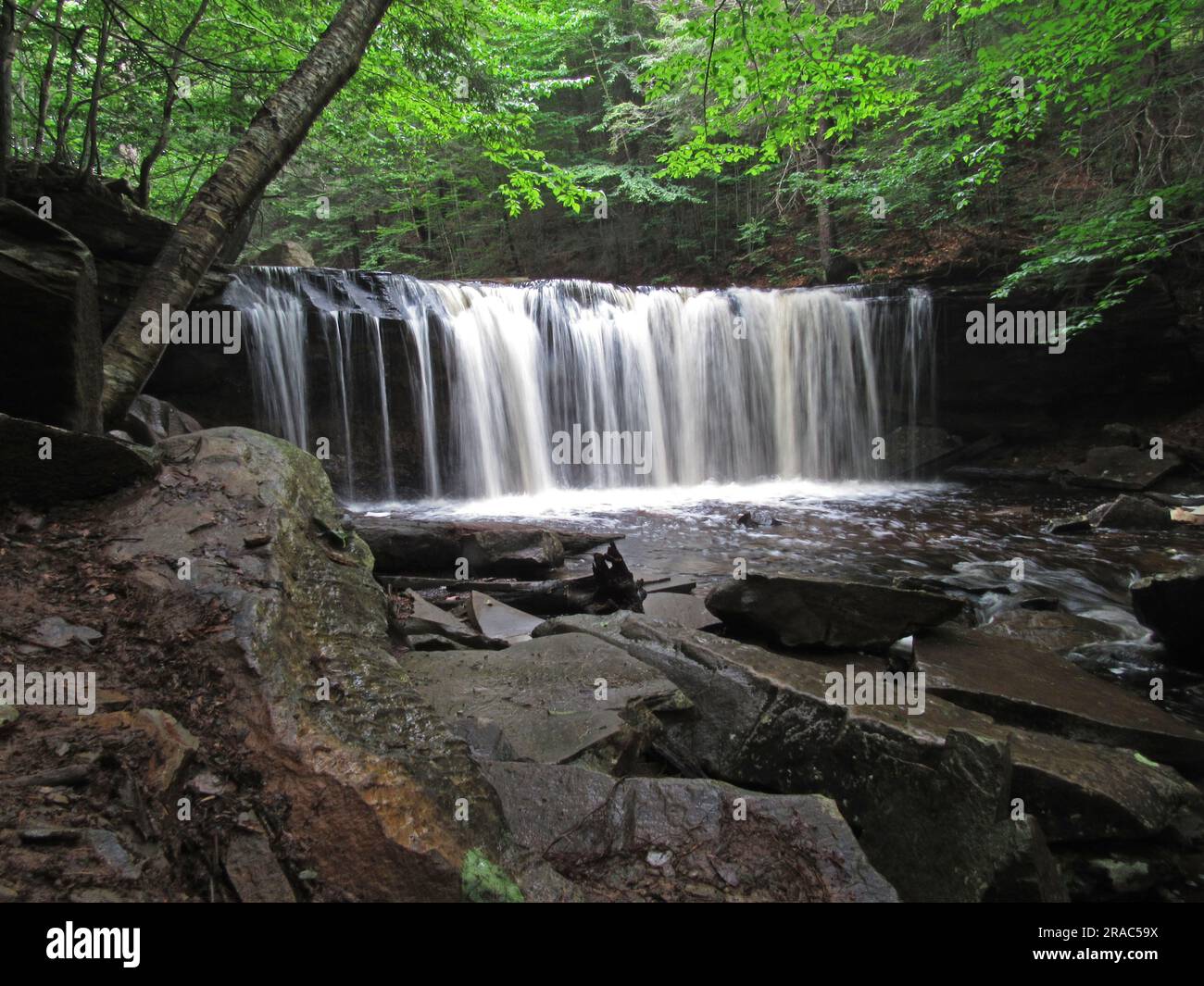 Oneida Falls tumbles through Ricketts Glen State Park in Benton ...