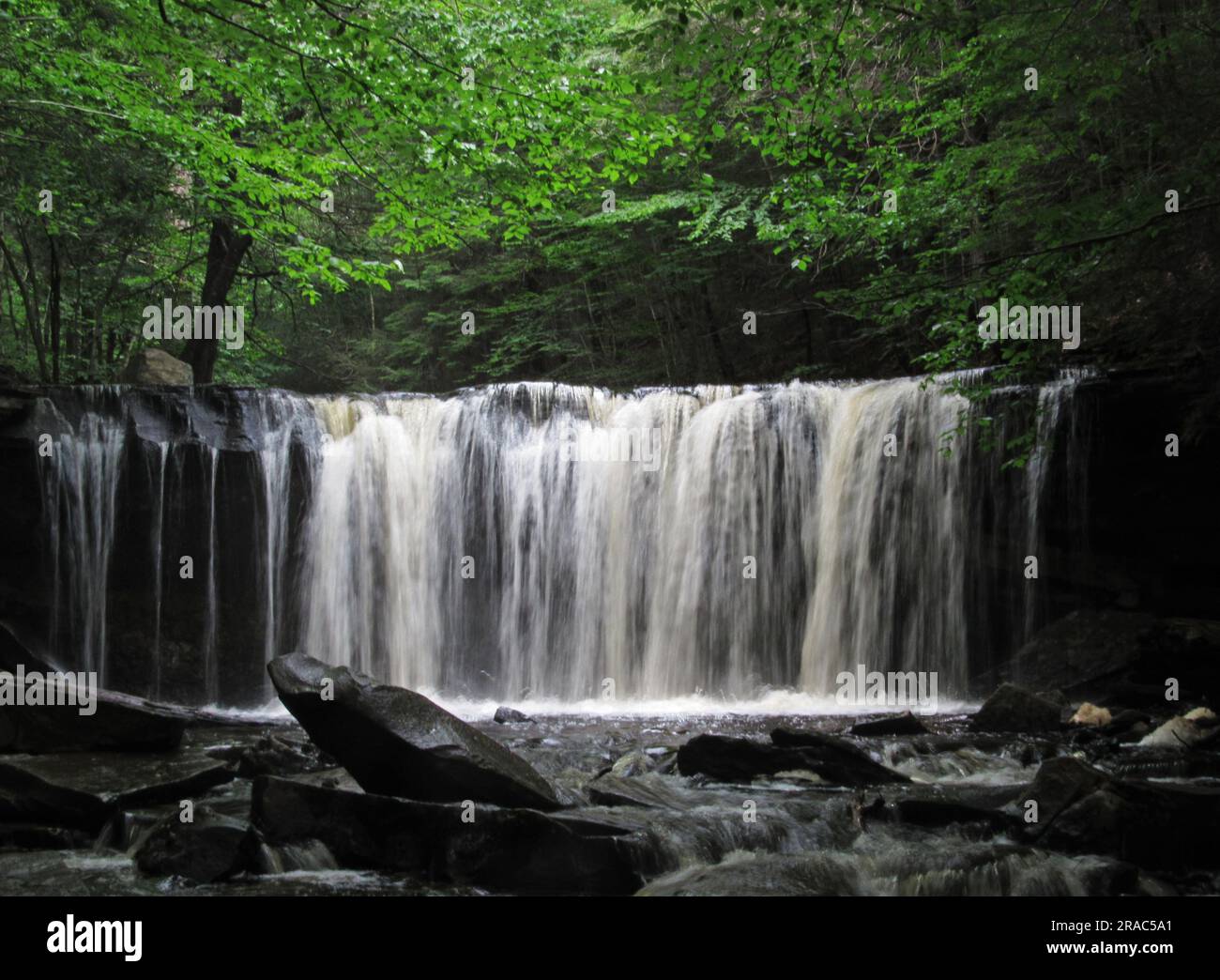 Oneida Falls tumbles through Ricketts Glen State Park in Benton ...
