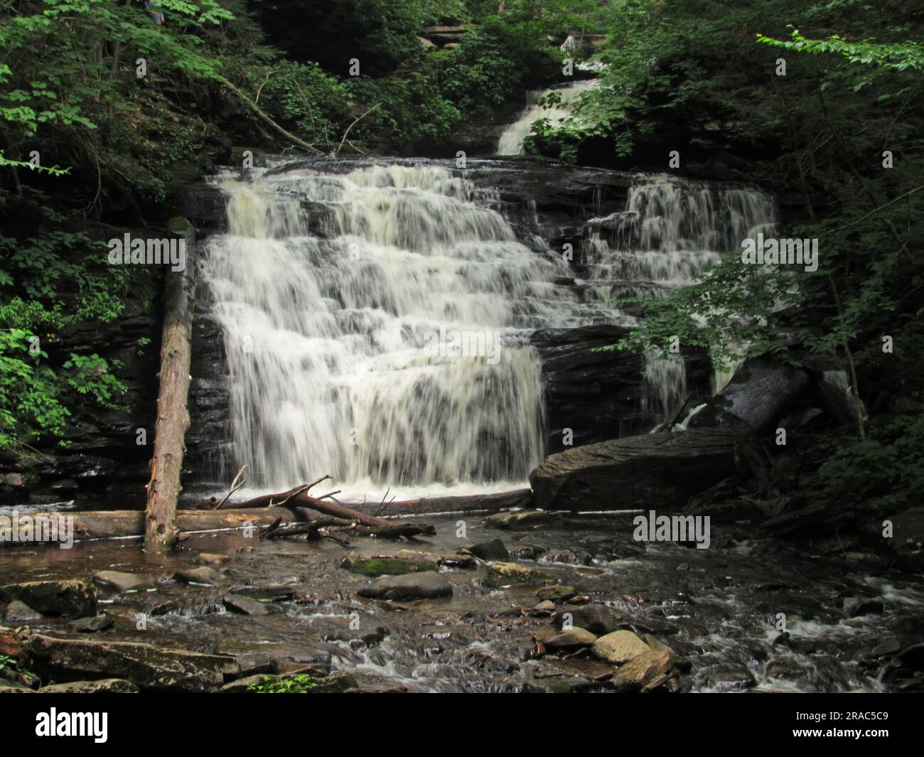 Mohican Falls tumbles through Ricketts Glen State Park in Benton ...