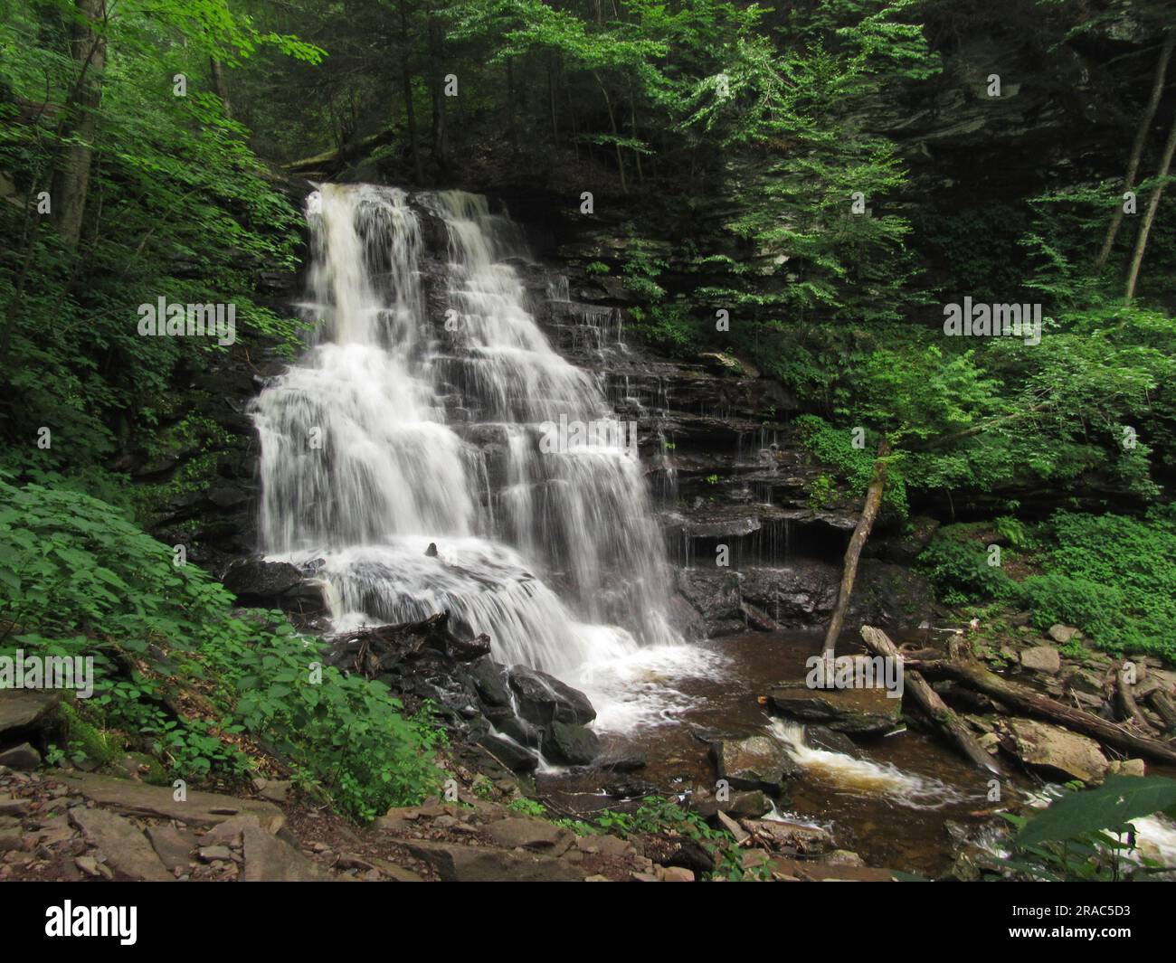Erie Falls tumbles through Ricketts Glen State Park in Benton ...