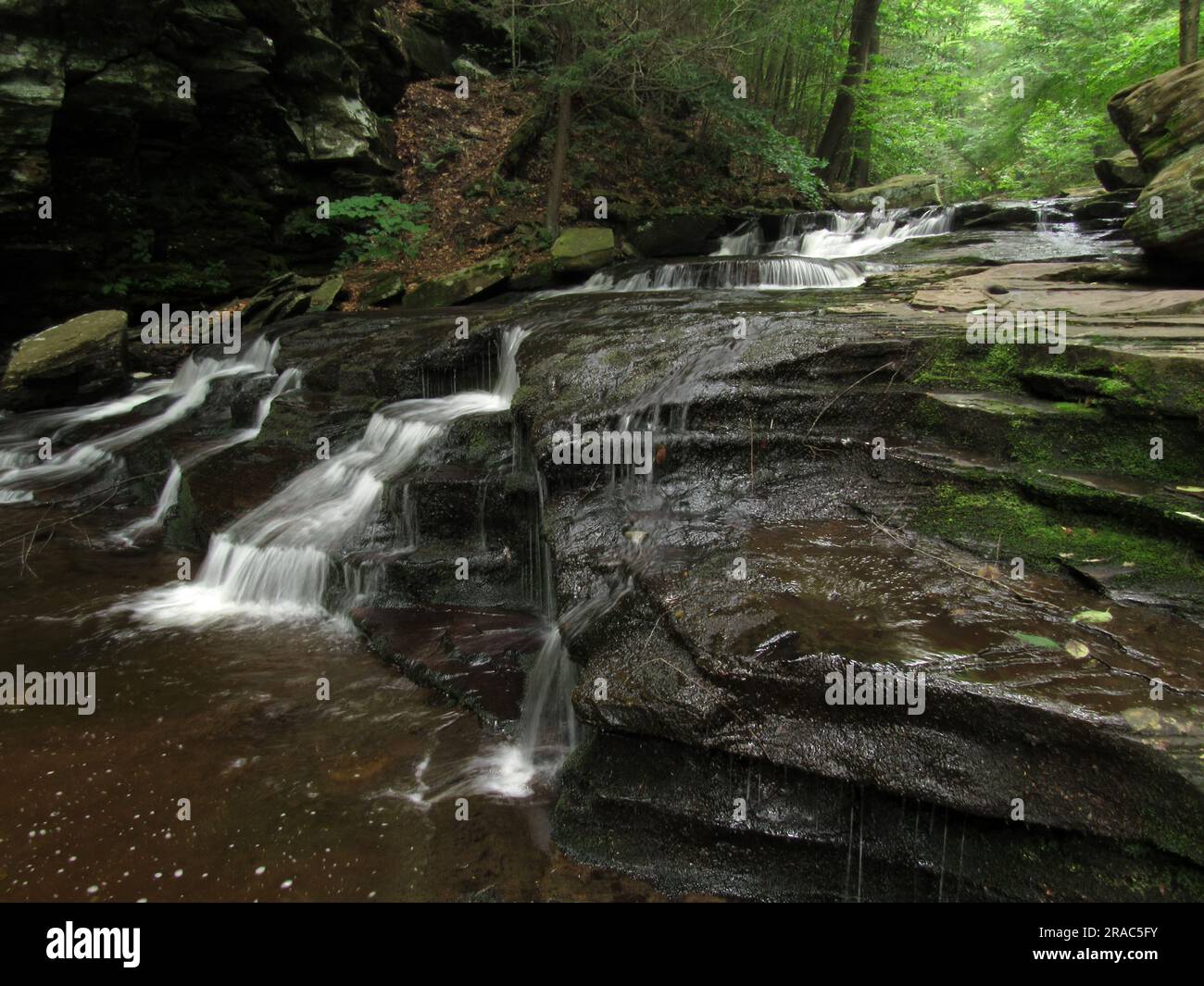 Kitchen Creek spills over small cascades in Ricketts Glen State Park in ...